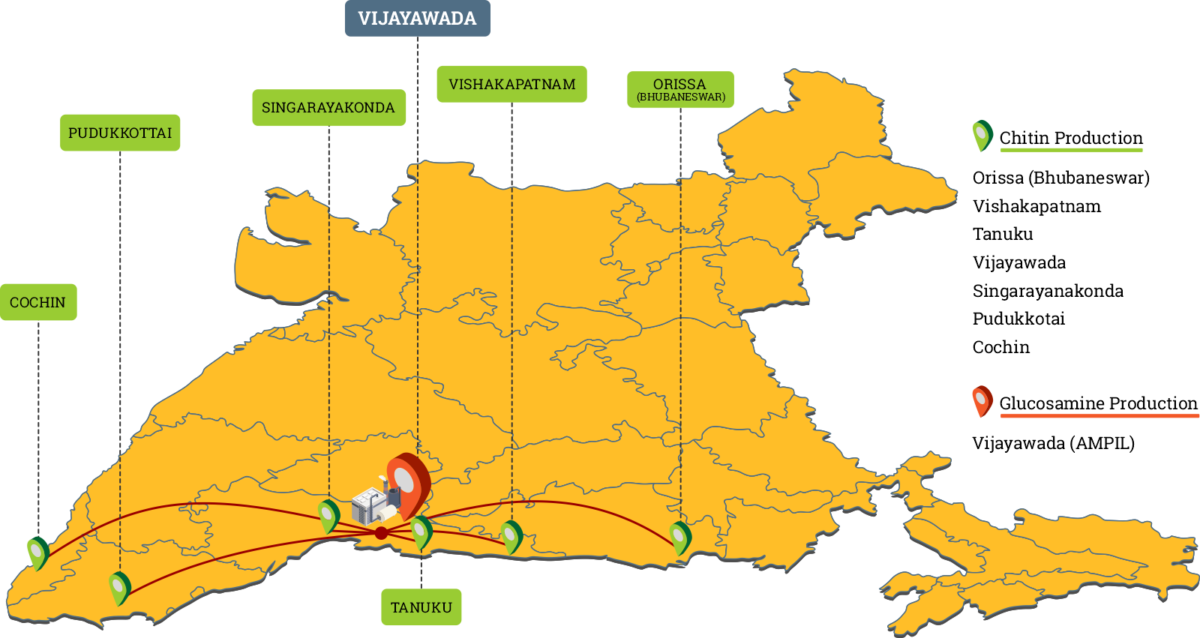 Production Facilities – Andhra Medi Pharma India Pvt. Ltd.